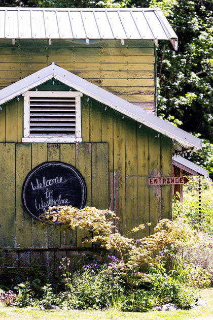 June Tea of the Month – Westholme Tea Company