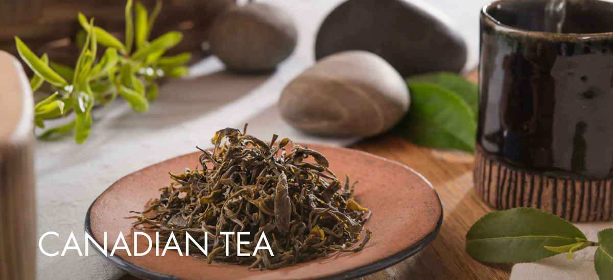 Our 1st Canadian Tea Sale...Save in September! – Westholme Tea Company