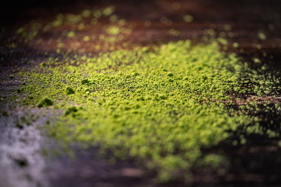 About the Matcha Boom – Westholme Tea Company
